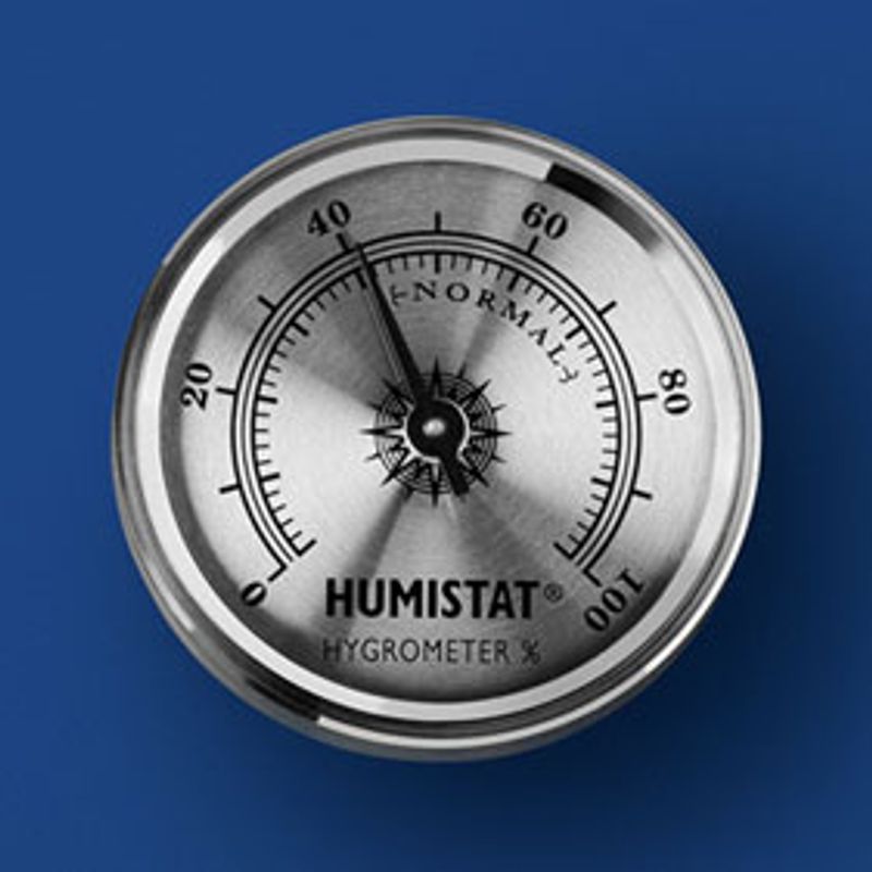 Humistat hygrometer store
