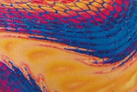 Remo BG-7821-SD Bongo Set - 7"/8.5" Valencia Curved Hoo - Cosmo Music