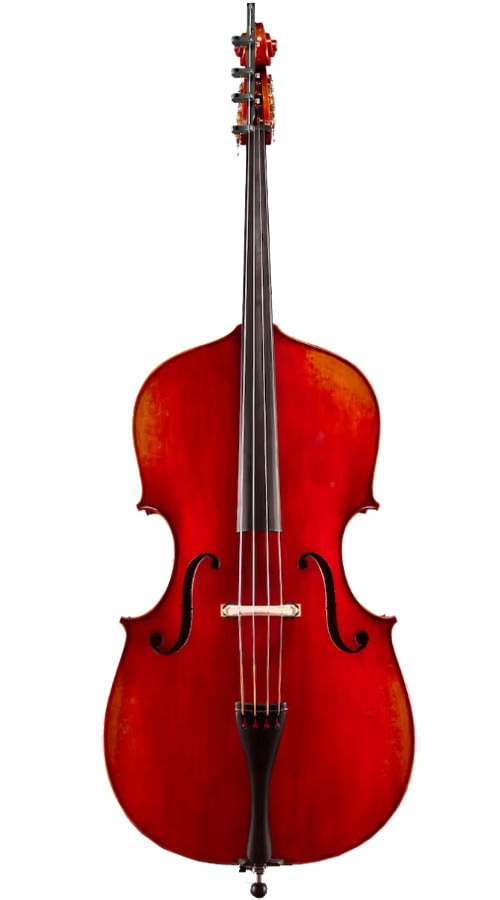 Eastman VB605BN78S Busan Double Bass Outfit - 7/8 - Cosmo Music